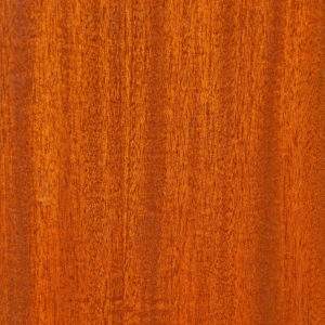 Dark Red Meranti - F.Jammes