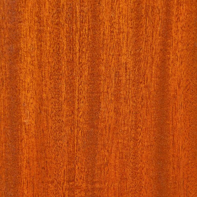 Dark Red Meranti - F.Jammes