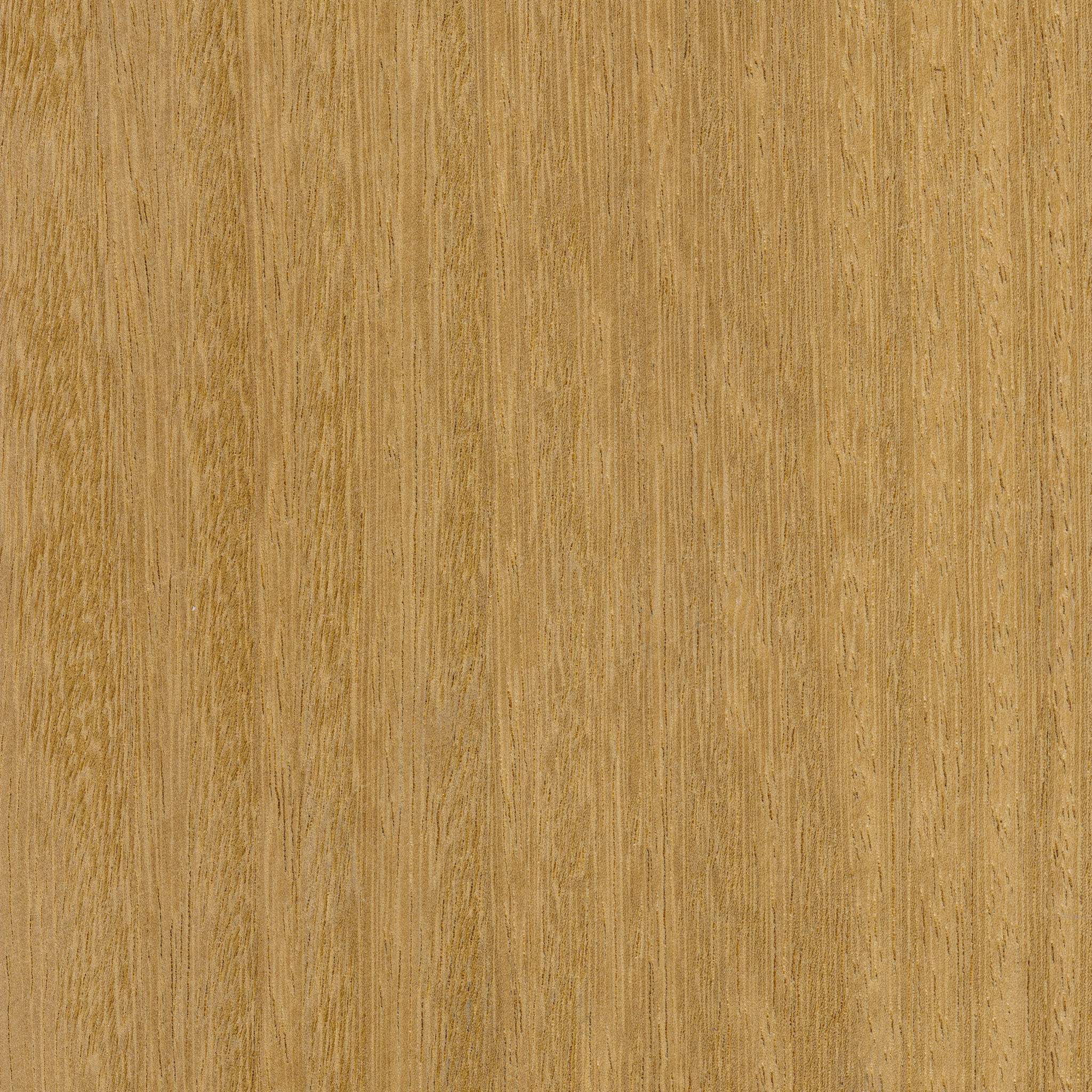 Iroko - F.Jammes